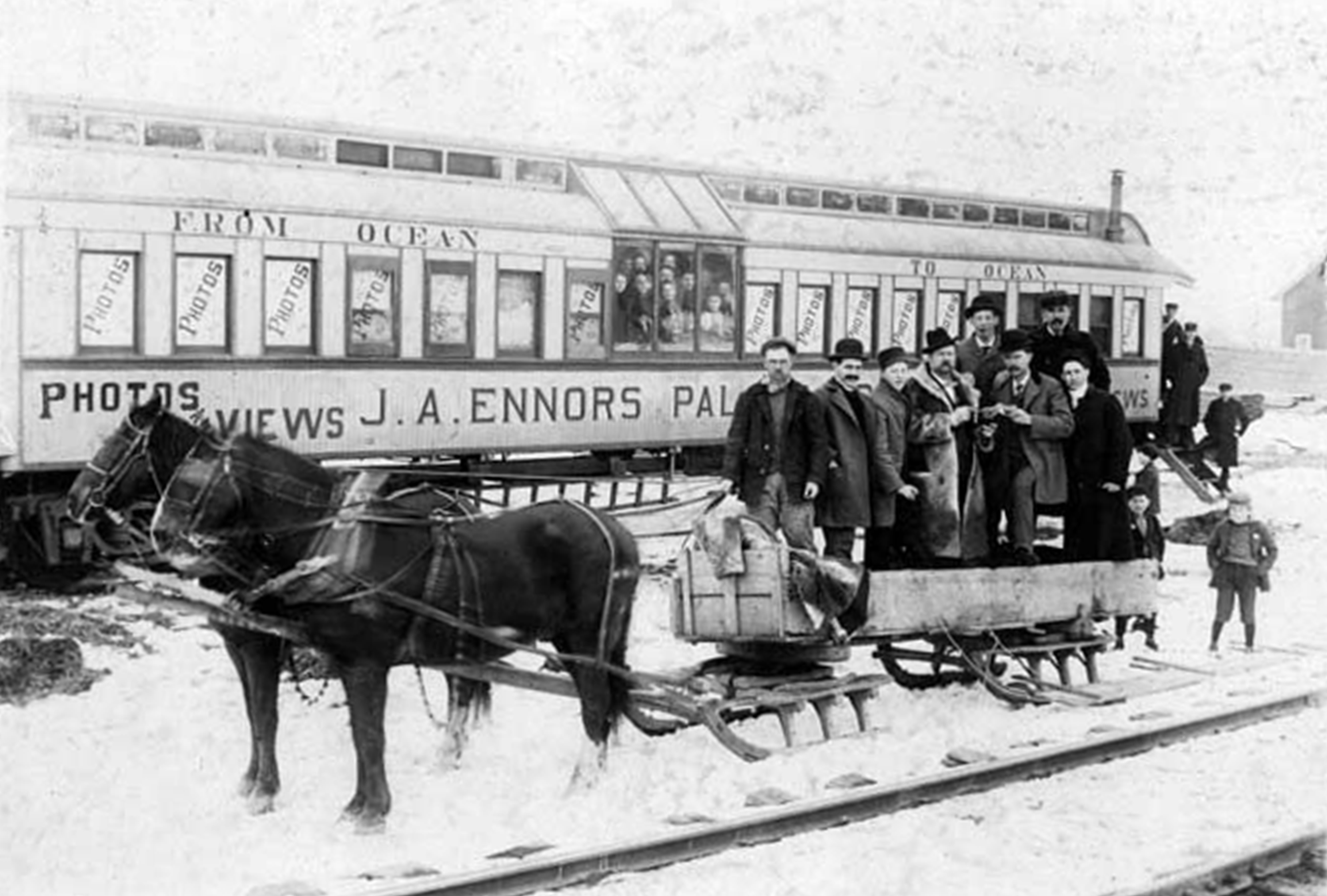 Emilia Sophia Larson